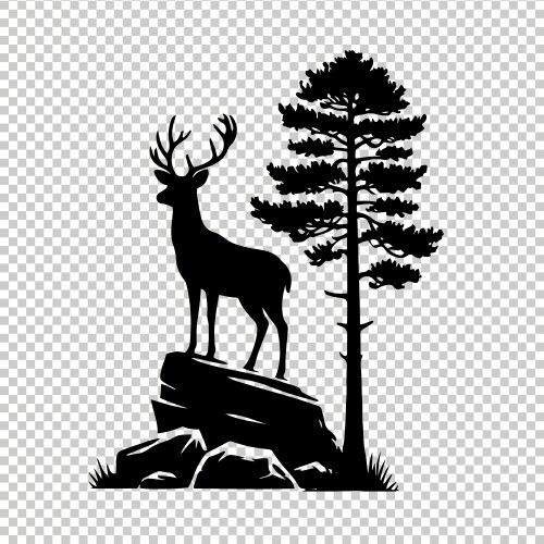 Whitetail deer Vector Images & Graphics for Commercial Use | VectorStock