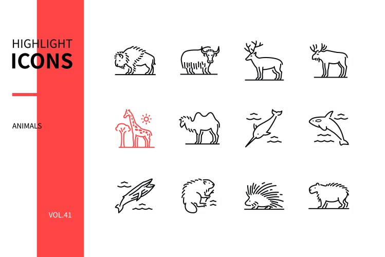 Animals of america with cubs Royalty Free Vector Image
