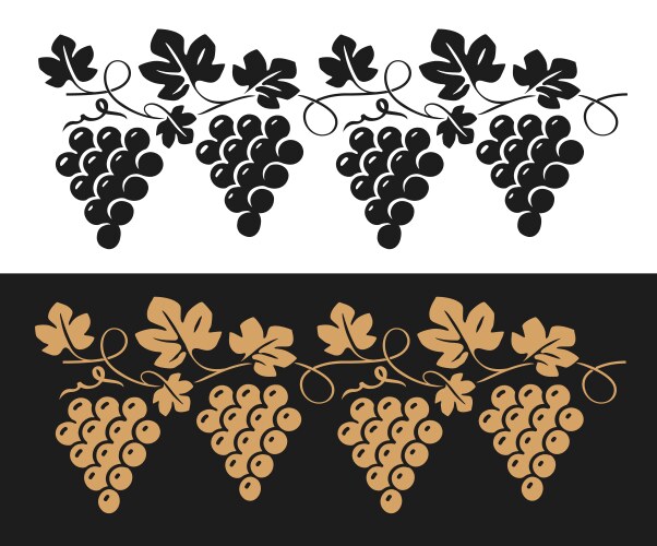 Grapes Vineyard Vector Images (over 22,000)