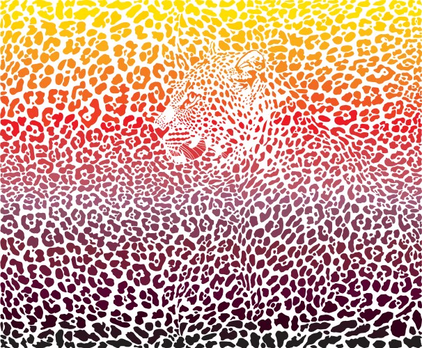 Leopard background Royalty Free Vector Image - VectorStock