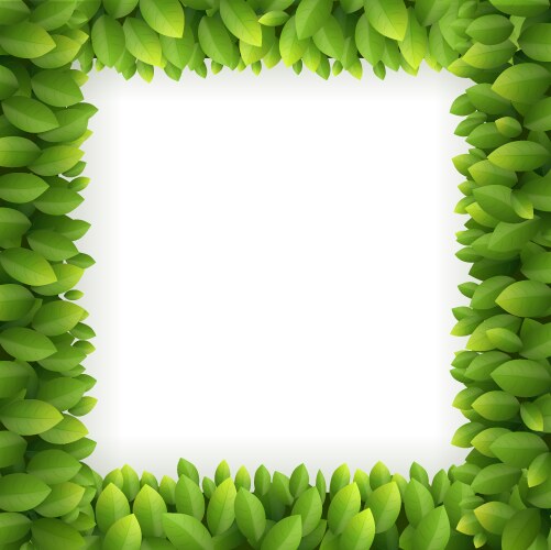 Square frame of leaves Royalty Free Vector Image
