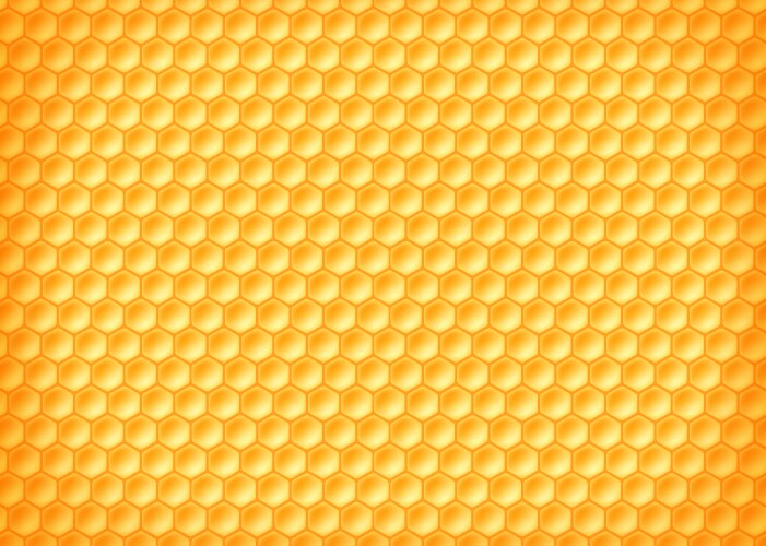 Honeycomb pattern Royalty Free Vector Image - VectorStock