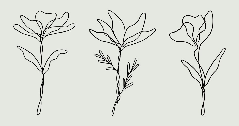 Wildflower line art bundle Royalty Free Vector Image
