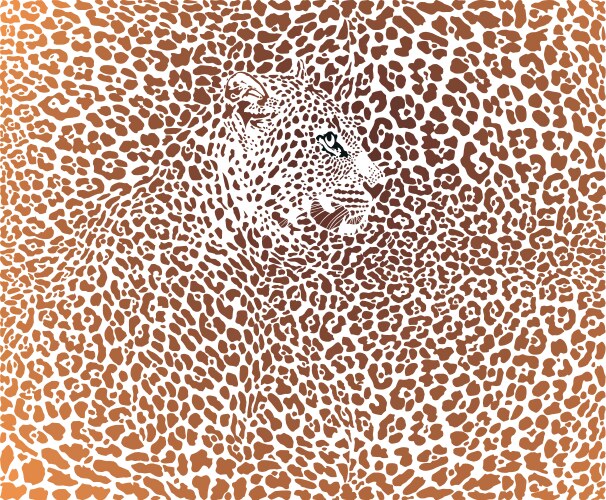 Seamless classic leopard texture pattern Vector Image