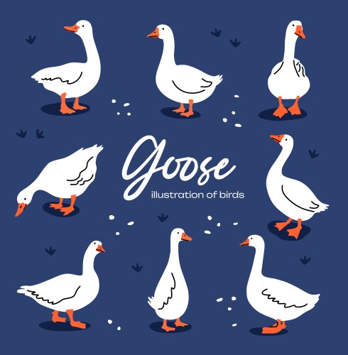 Goose Vector Images (over 32,000)