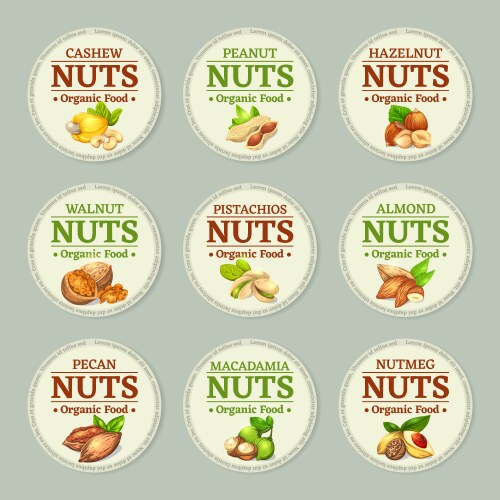 Nuts logo set labels with macadamia pecan Vector Image