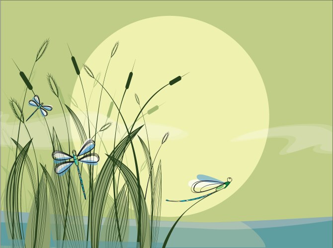 Pond Vector Images (over 29,000)
