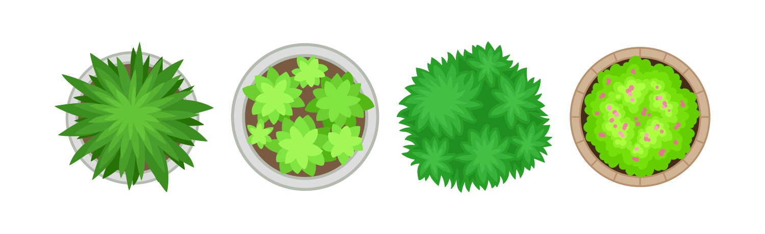 Bush Plan View Vector Images (over 570)
