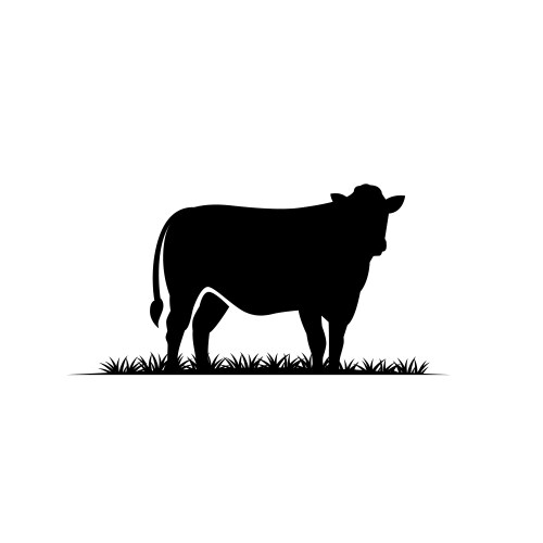 Angus cow cattle beef grass silhouette Royalty Free Vector
