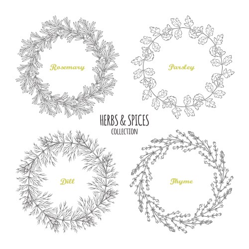 Circle Spice Vector Images (over 3,000)