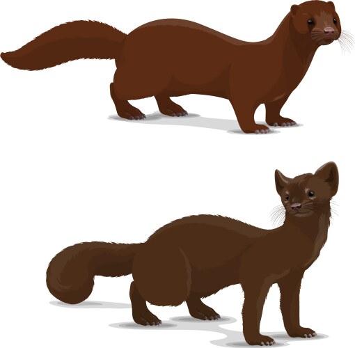 Sable Vector Images (over 820)