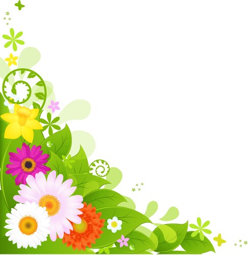 Summer flowers borders Royalty Free Vector Image