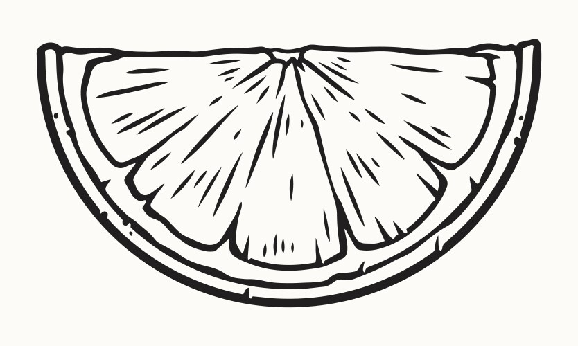 Lemon Lime Vector Images (over 41,000)