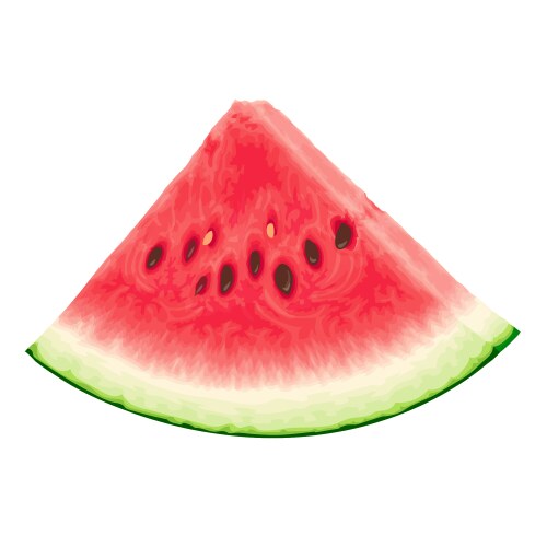 Watermelon Vector Images (over 77,000)