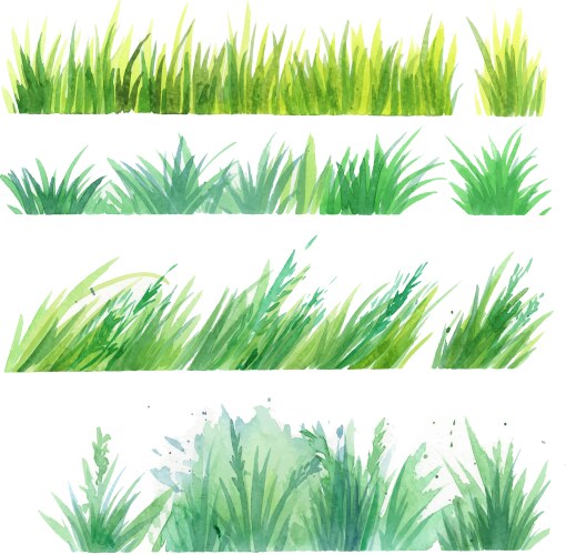 Watercolor crocuses on the garden grass spring Vector Image