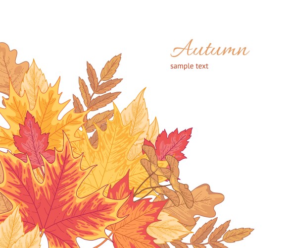 Abstract autumn background with colorful leaves Vector Image