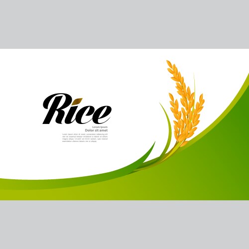 Premium rice product package mockup Royalty Free Vector