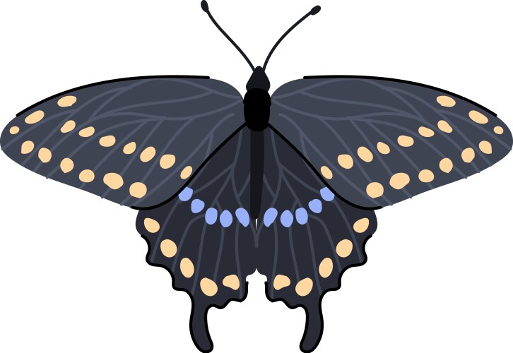 Butterfly Cartoon Vector Images (over 40,000)