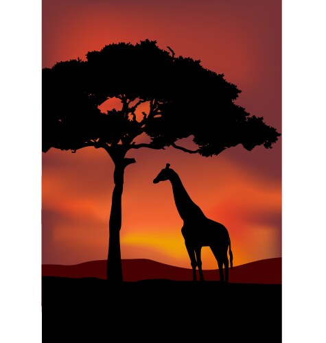 Giraffe sunset Royalty Free Vector Image - VectorStock
