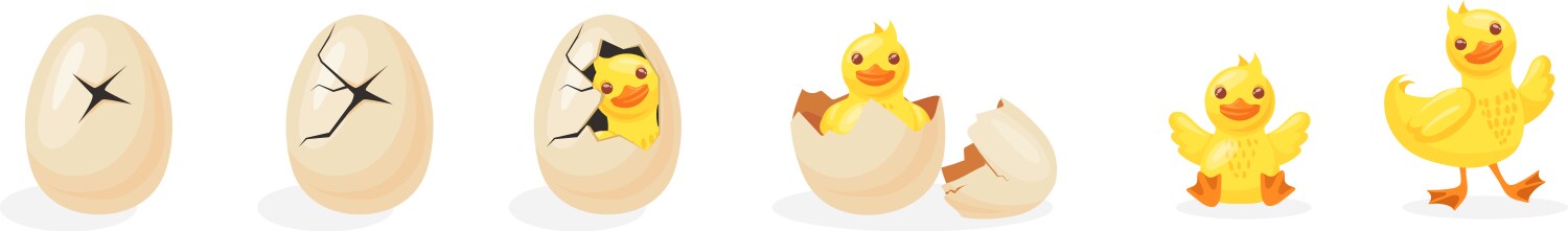 Chicken Hatching Vector Images (over 3,700)