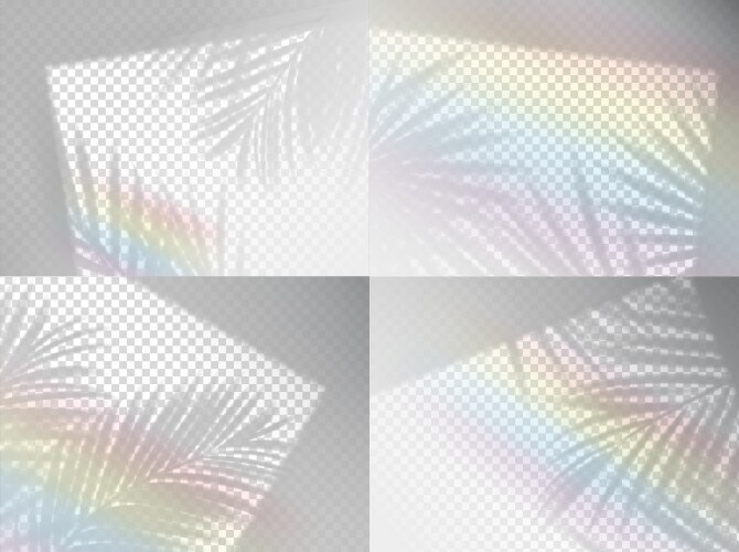 Palm Shadow Transparent Vector Images (over 810)