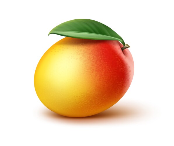 Mango Vector Images (over 21,000)