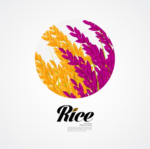 Premium rice product package mockup Royalty Free Vector