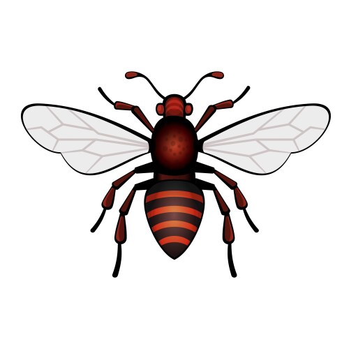 Cartoon bee Royalty Free Vector Image - VectorStock