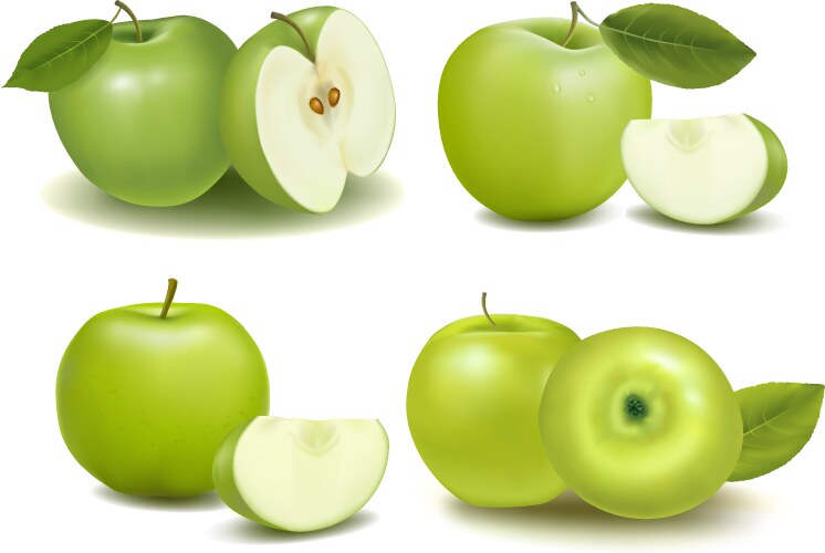 Apples Vector Images (over 220,000)