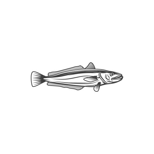 Cod Fish Vector Images (over 3,300)
