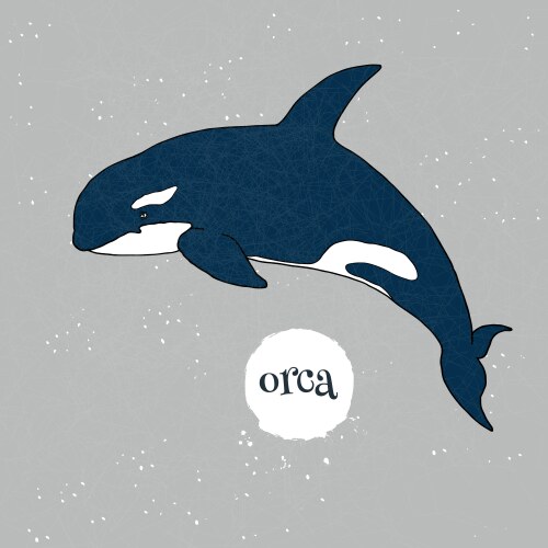 Orca Vector Images (over 3,800)