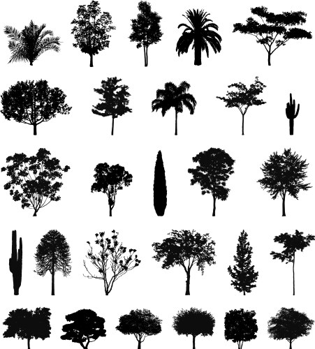 Tree Outline Vector Images (over 180,000)