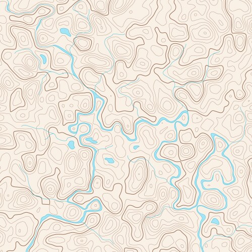 Abstract topographical map Royalty Free Vector Image