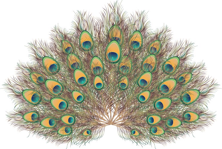 Tail Vector Images (over 190,000)