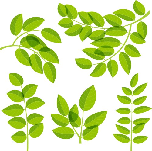 Leaves Vector Images (over 690,000)
