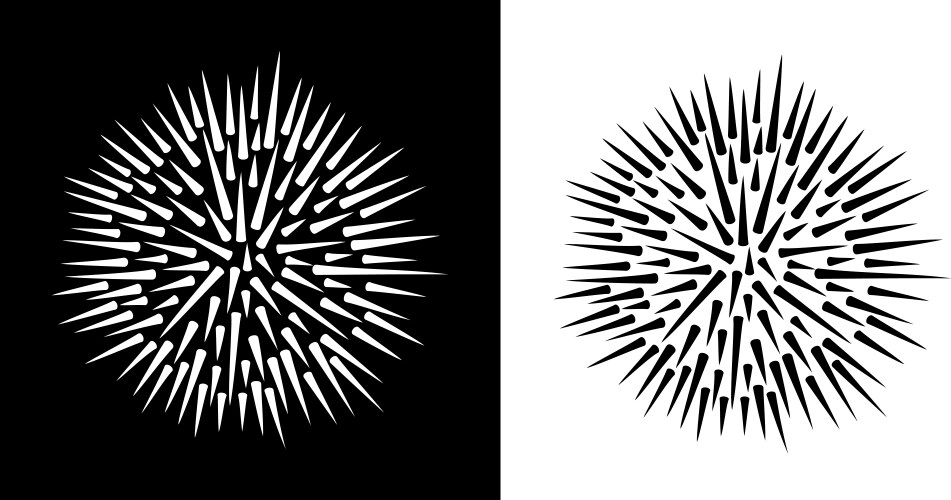 Sea Urchin Vector Images (over 1,900)
