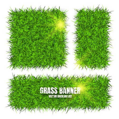 Green grass banners background field meadow Vector Image