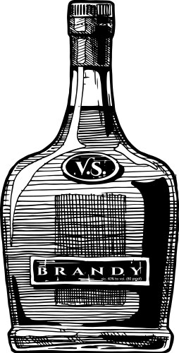 Logo for brandy Royalty Free Vector Image - VectorStock