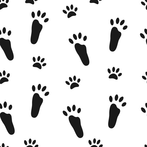 Rabbit Tracks Vector Images (over 880)