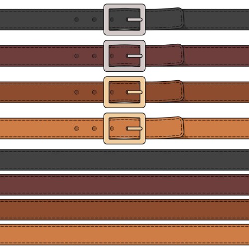 Clothing belt set of various colored belts Vector Image