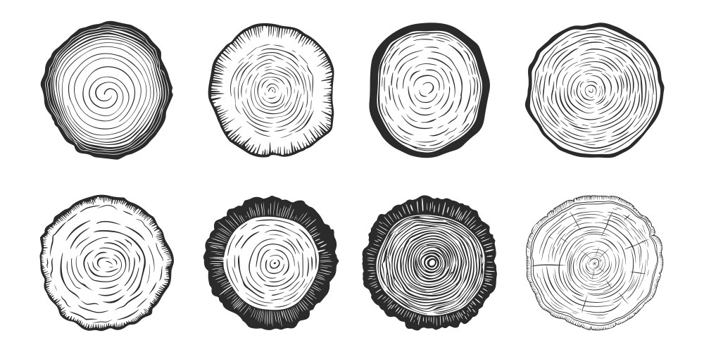 Wooden log cut Royalty Free Vector Image - VectorStock