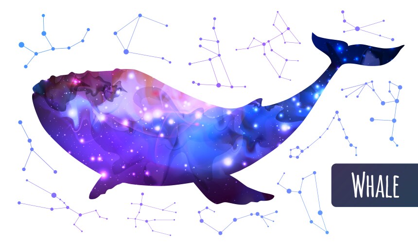 Space Whale Vector Images (over 630)