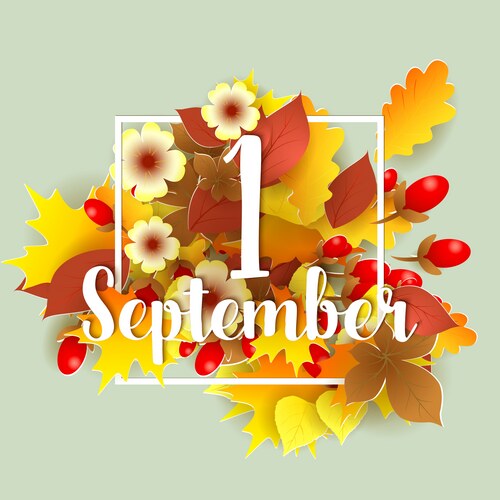 School autumn frame Royalty Free Vector Image - VectorStock