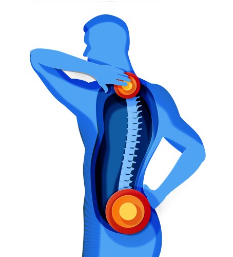 Osteopathy session and treatment doctors Vector Image