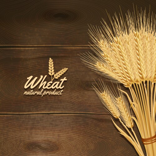 Seamless wood pattern Royalty Free Vector Image