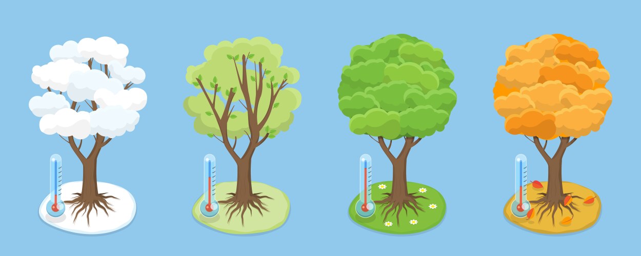 Four maracas Royalty Free Vector Image - VectorStock