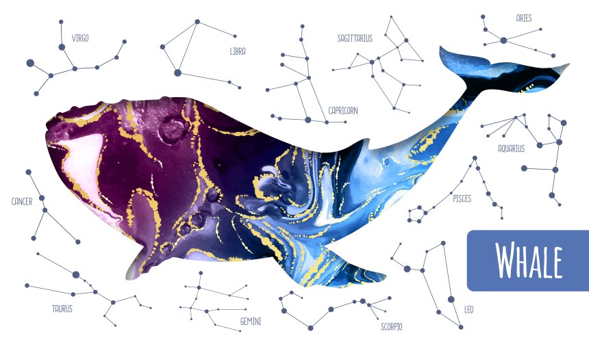 Apparel psychedelic fashion print with whale Vector Image