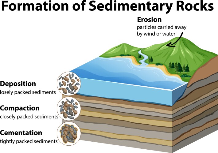 Sedimentary Vector Images (over 270)
