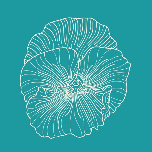 Pansy Vector Images (over 3,500)