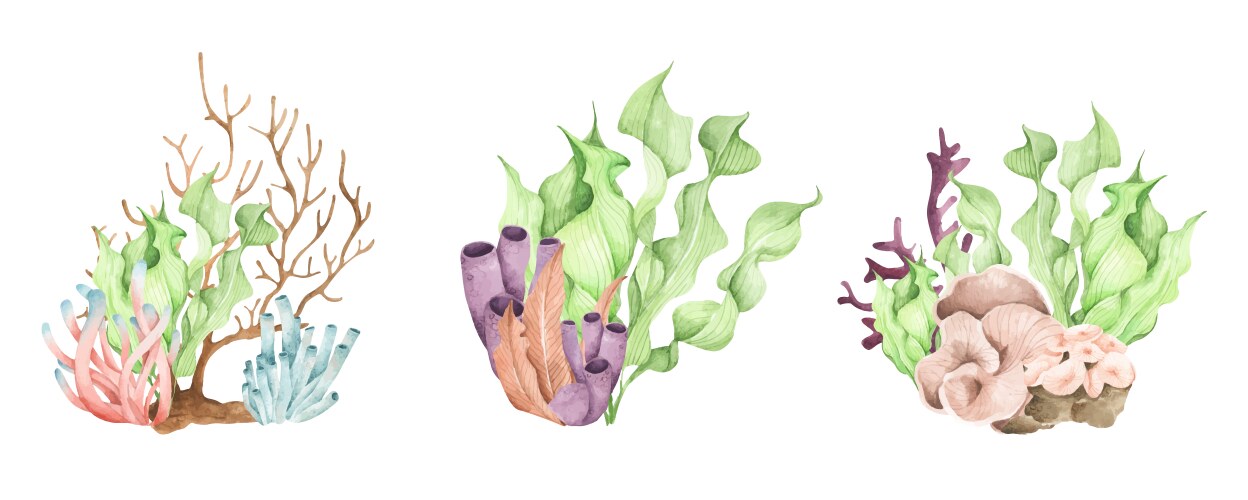 Watercolor set coral reefs clipart Royalty Free Vector Image